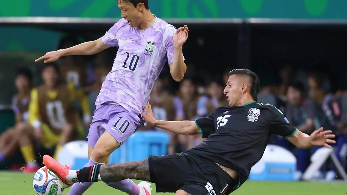 Roberto Alvarado, del banco en Qatar a titular en el Mundial | El ...